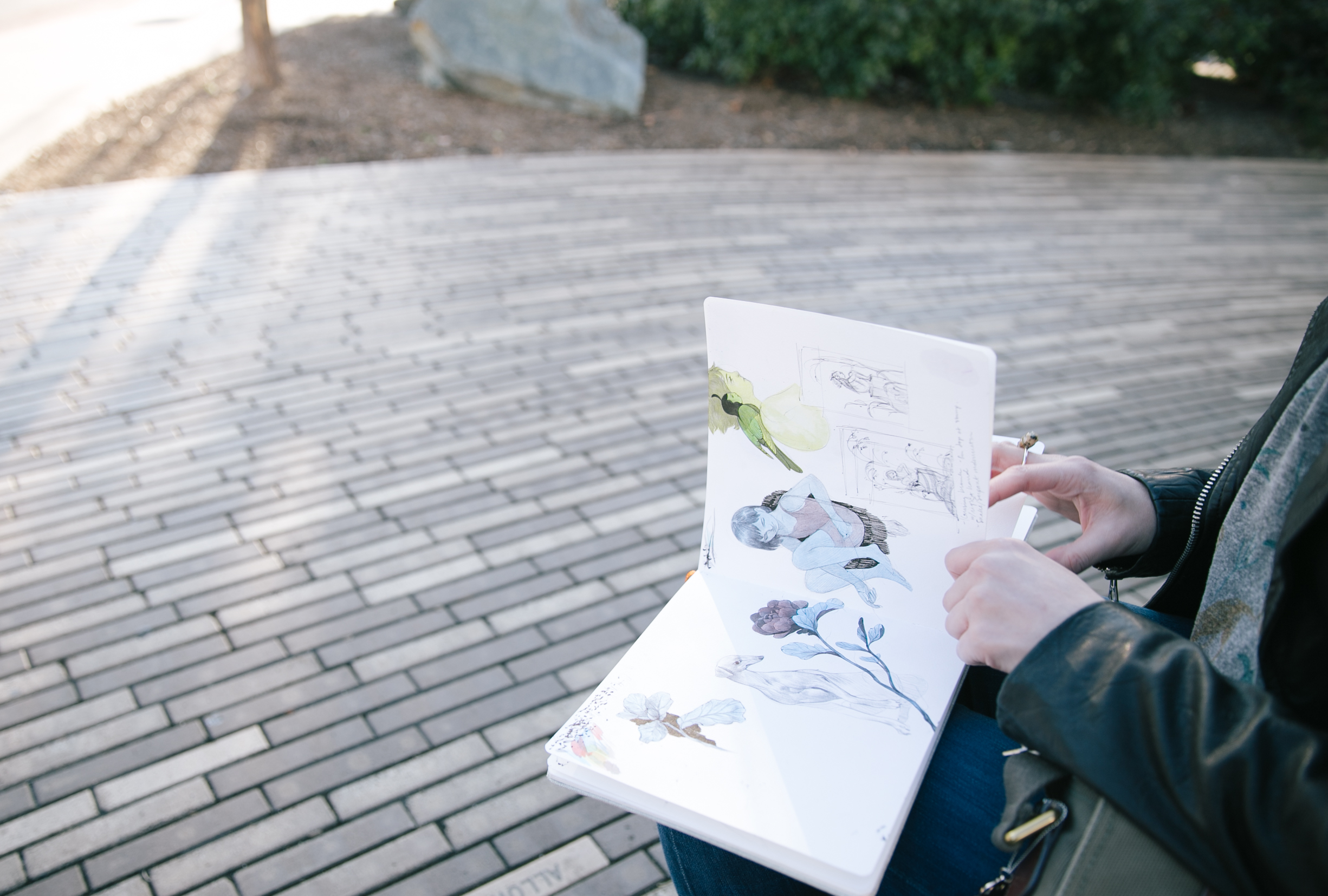 Rachel Suggs – Artist Spotlights